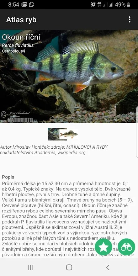 Aplikace Atlas ryb (sladkovodních)